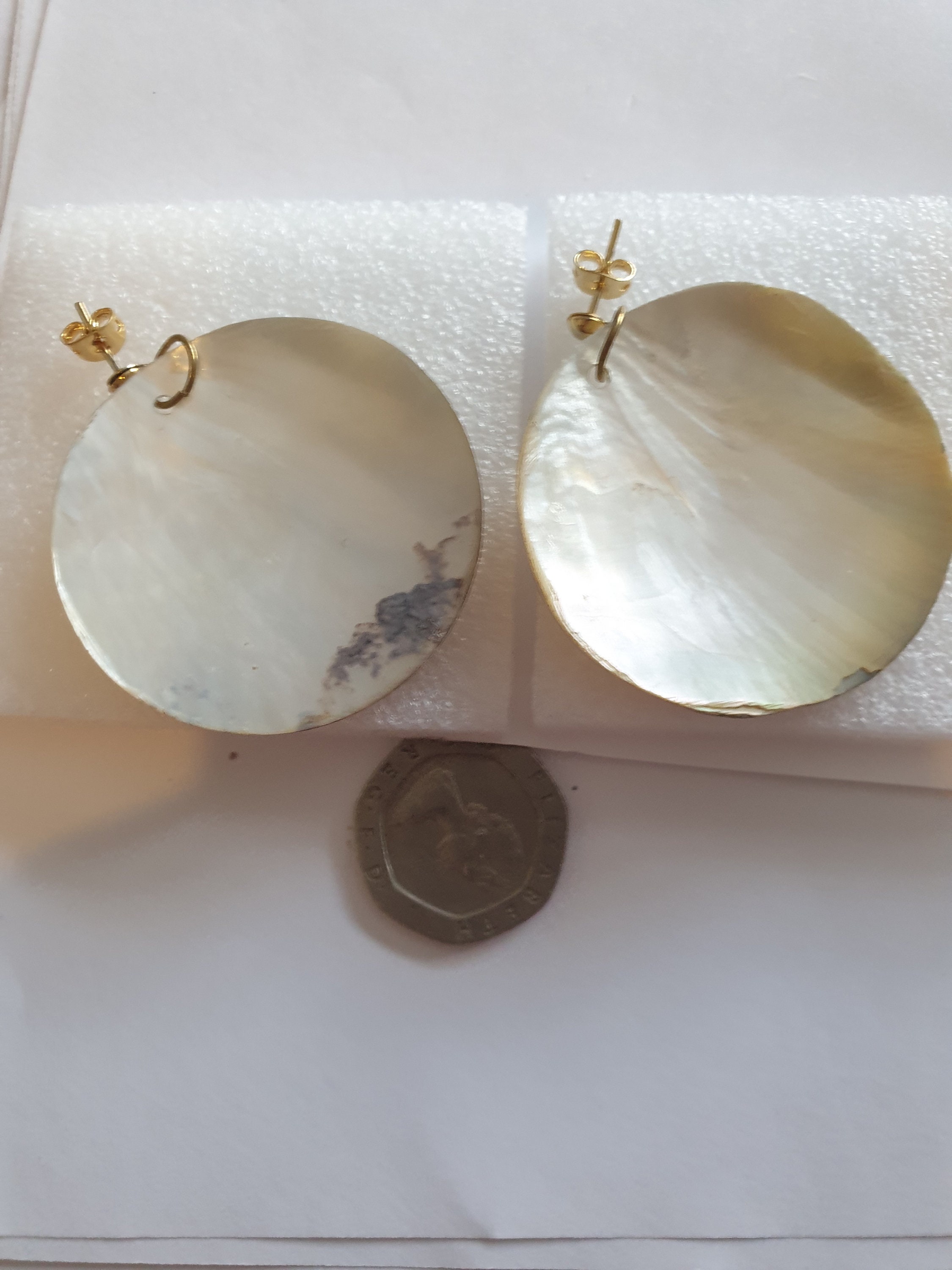 Oyster Shell Studs - Etsy