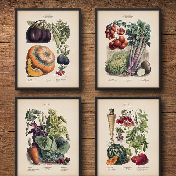 Vegetable Art Print - Etsy