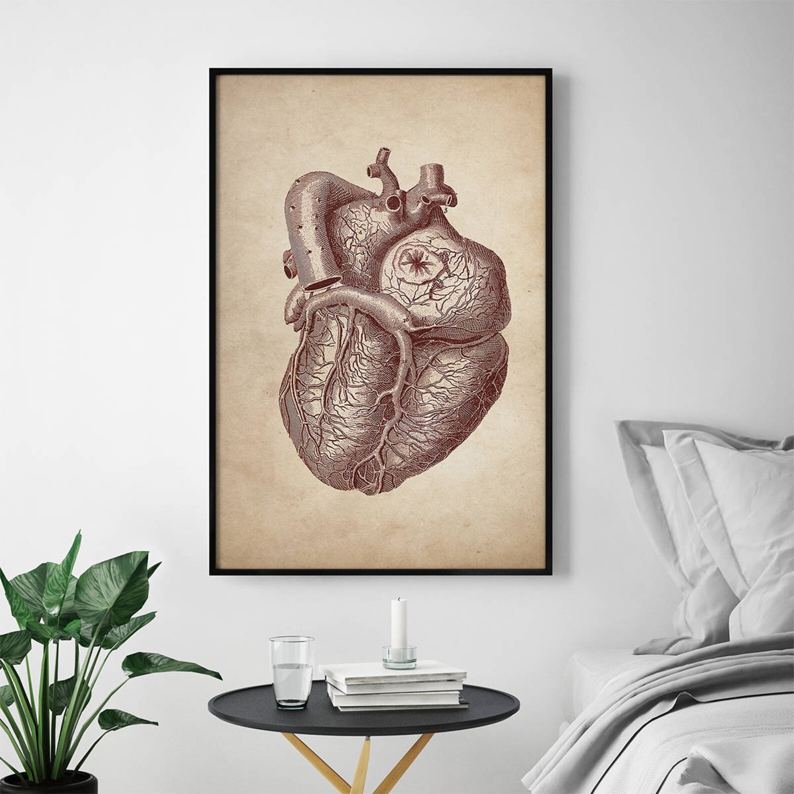 Heart Print Anatomy Print Anatomy Poster Cardiology Decor | Etsy