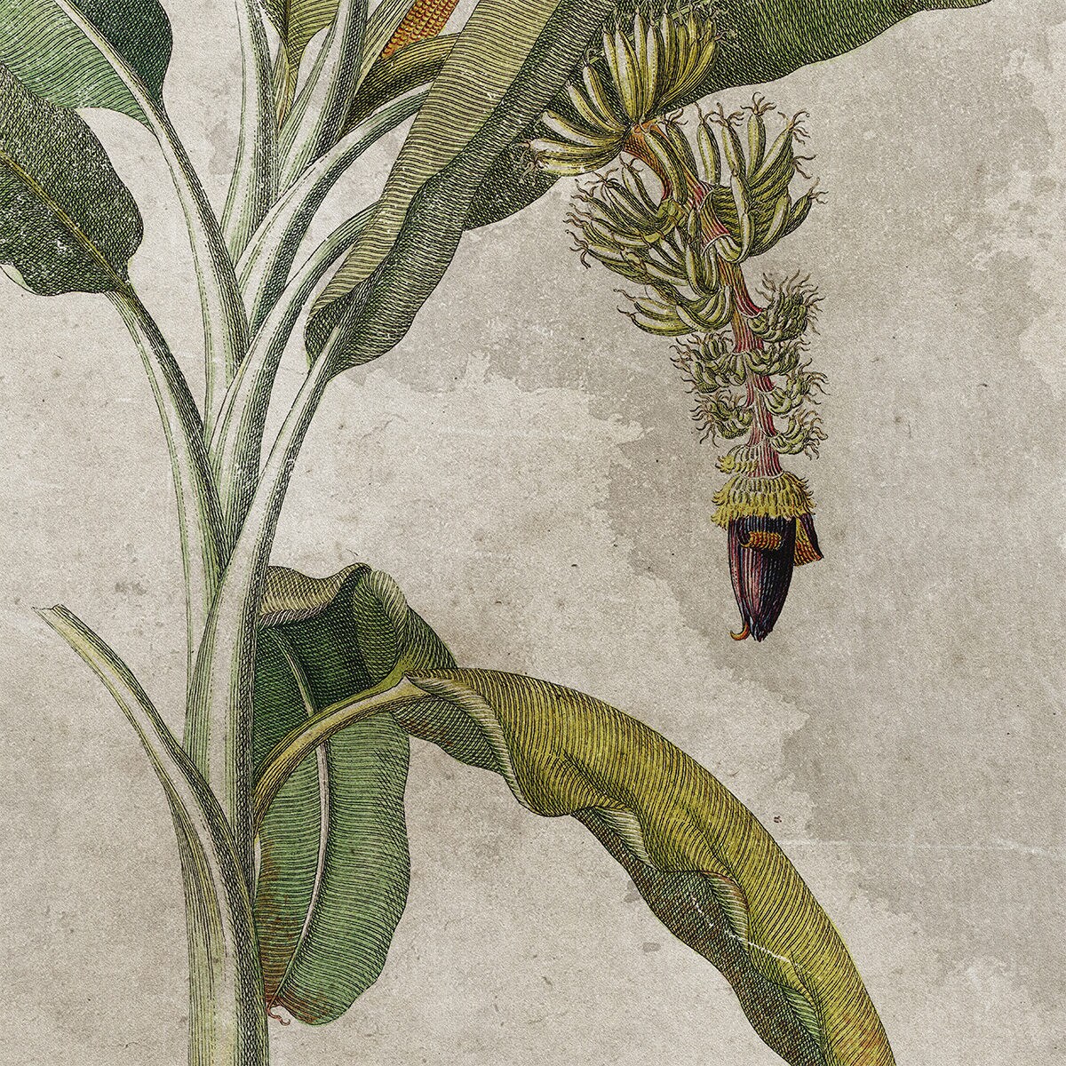 Botanical Print Set of 3 Tropical Prints Palm Tree Print - Etsy