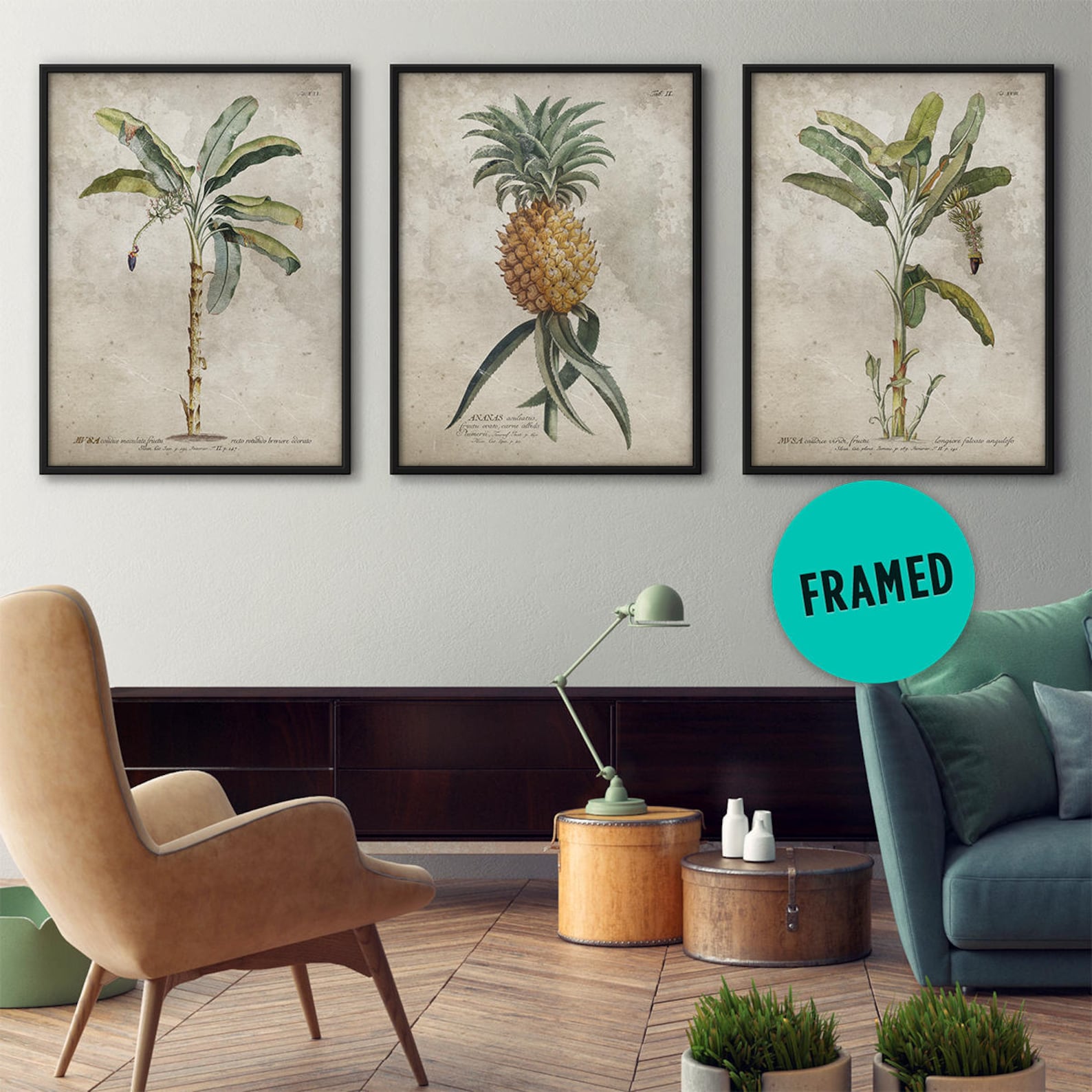 Botanical Print Set of 3 Framed Art Tropical Prints Palm - Etsy