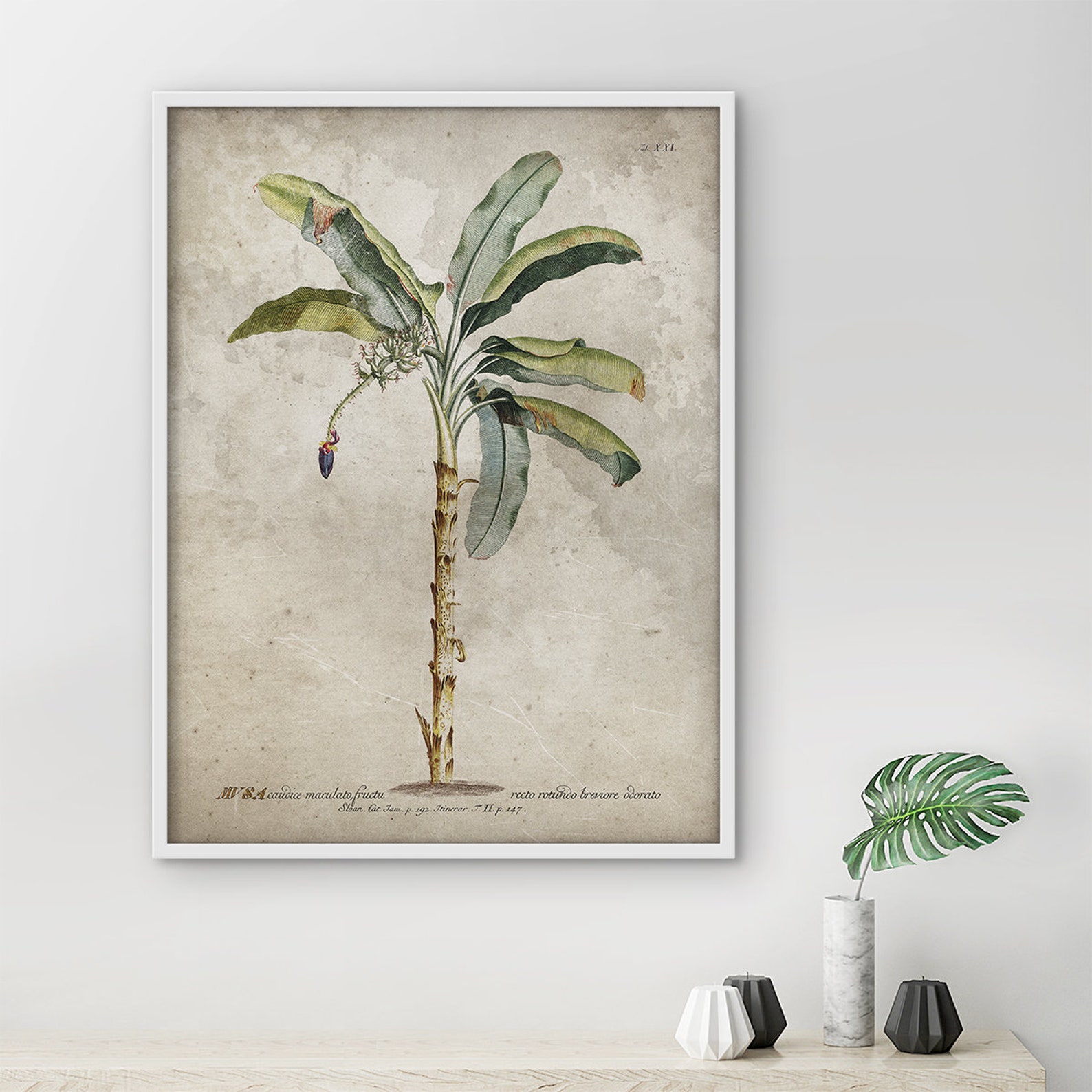 Palm Tree Print Framed Palm Leaves Print Botanical | Etsy