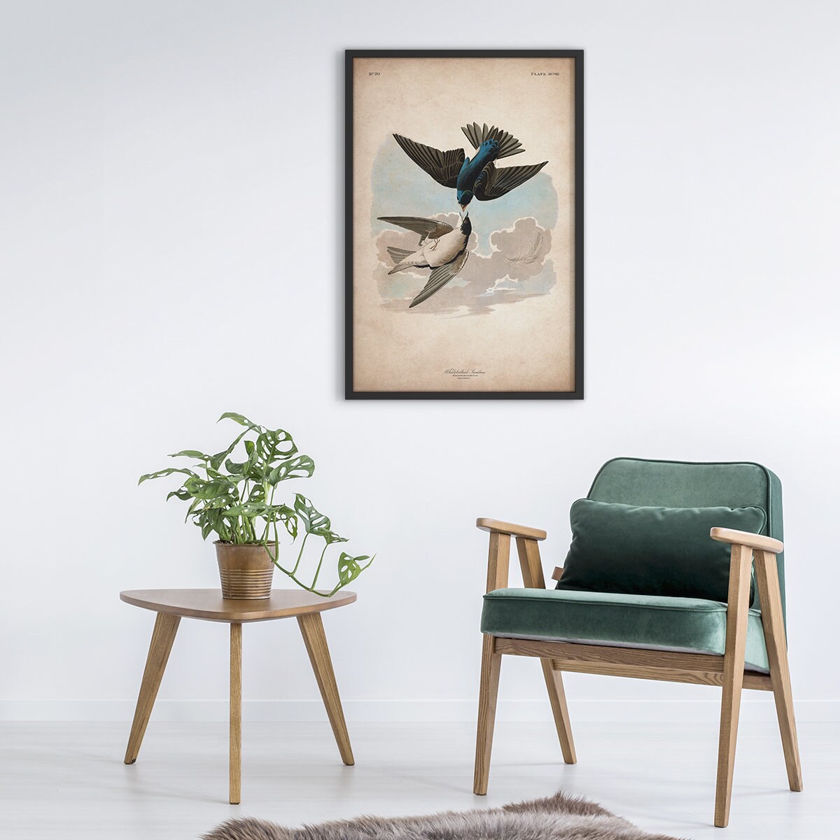 Swallow Bird Print, Framed Art, Swallow Print, Audubon Print, Audubon ...