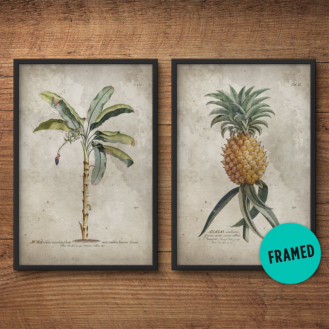Botanical Print Set of 2, Framed Art, Tropical Prints, Palm Tree Print ...