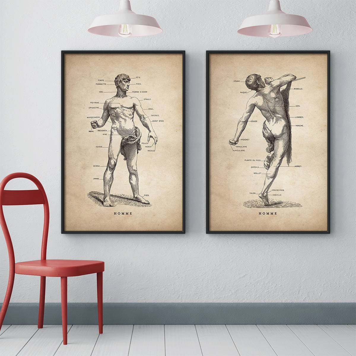 Framed Anatomy Print Set of 2 Framed Art Anatomy Posters - Etsy