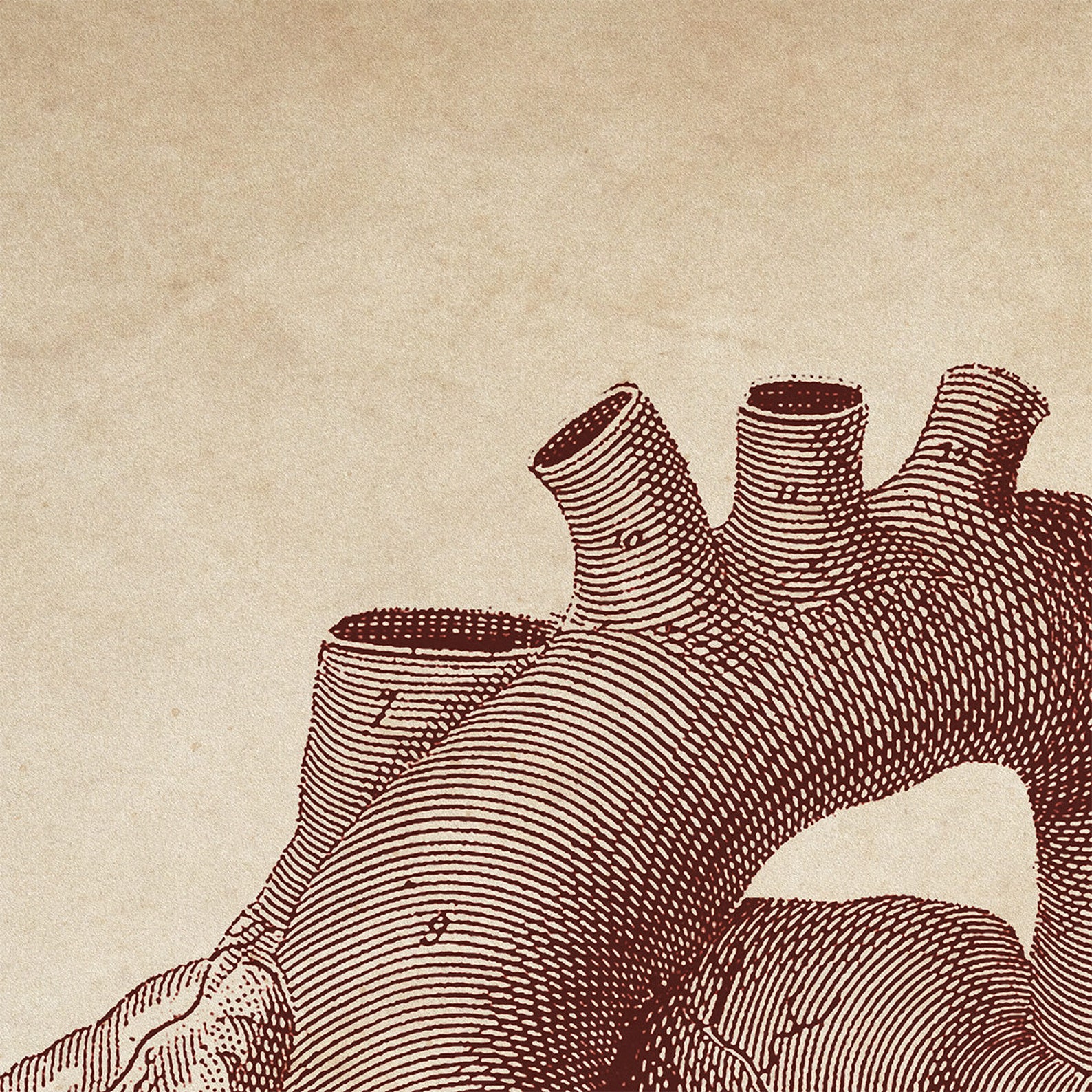Heart Print, Anatomy Print, Anatomy Poster, Cardiology Decor, Human ...