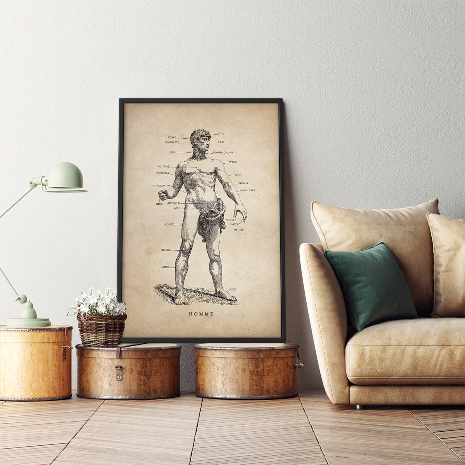 Anatomy Poster Framed Art Human Body Anatomy Illustration - Etsy