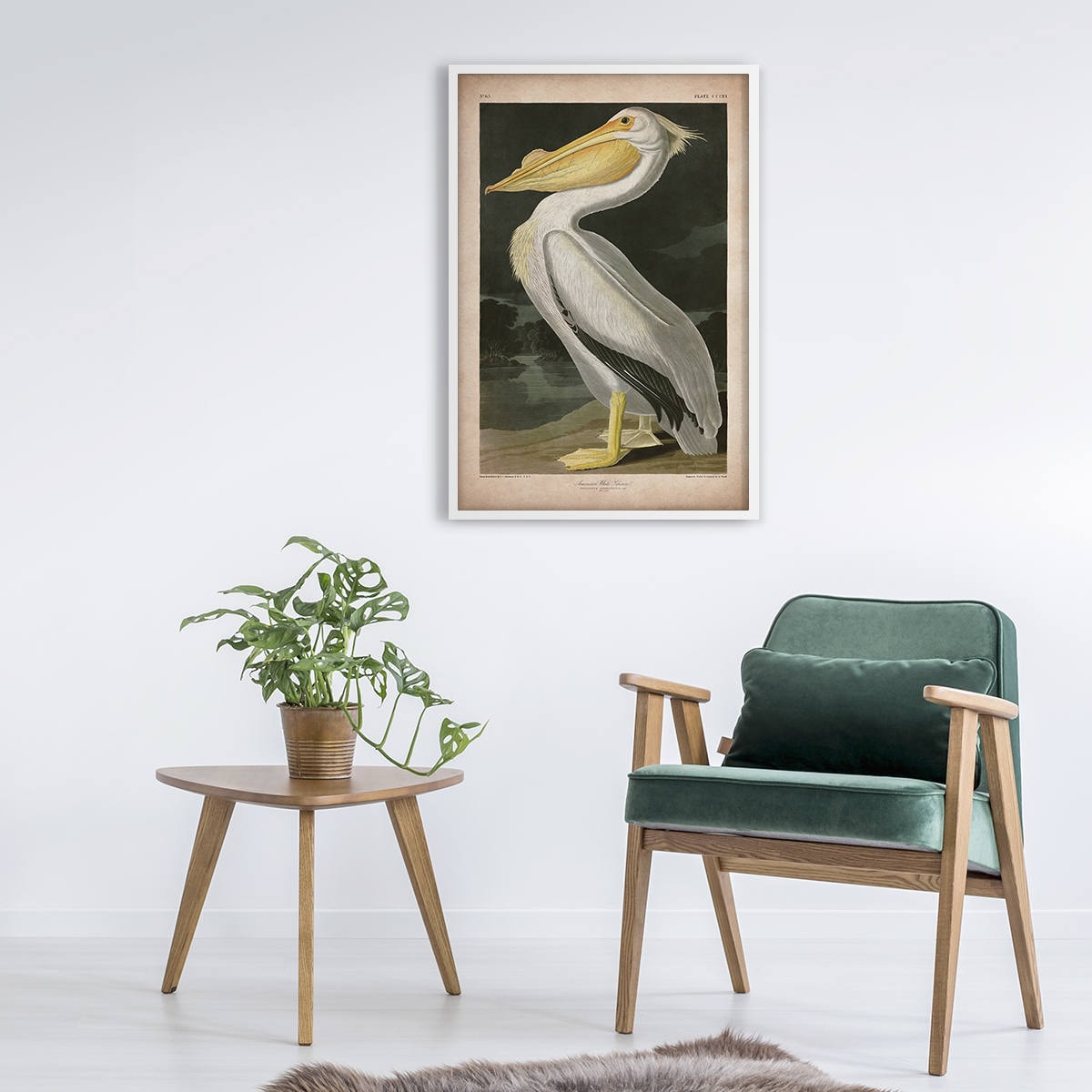 Pelican Bird Print, Framed Art, Pelican Print, Audubon Print, Audubon ...