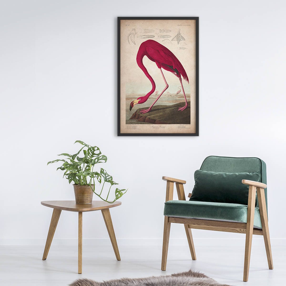 Flamingo Poster, Flamingo Print, Audubon Print, Birds of America, John ...