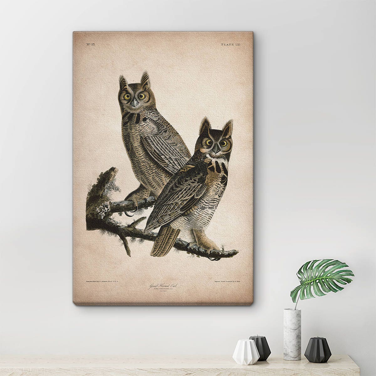 Audubon Bird Print, Canvas, Owl Print, Birds of America, John James ...