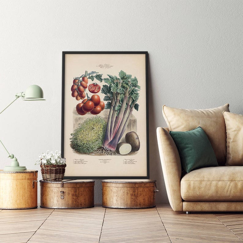 French Botanical Illustration Vegetables Poster Botanical - Etsy
