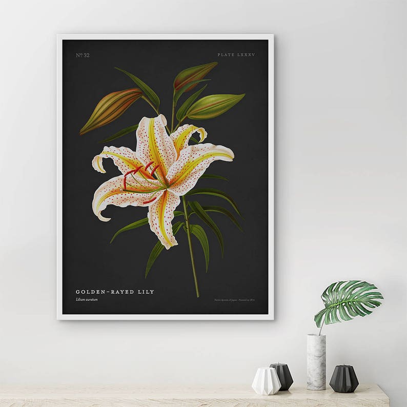 Lily Print, Botanical Wall Art, Flower Print, White Flower Print ...