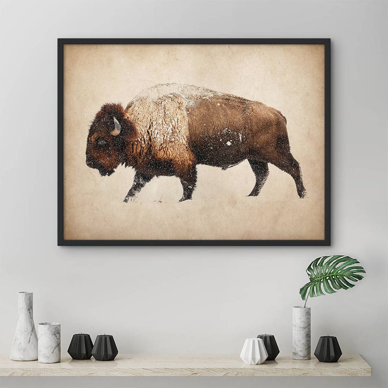Buffalo Wall Art Framed Art Buffalo Print Bison - Etsy