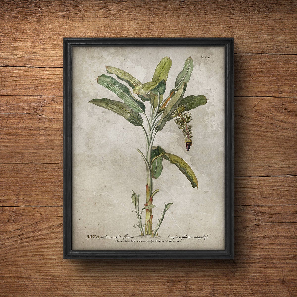 Botanical Print Set of 3 Tropical Prints Palm Tree Print - Etsy