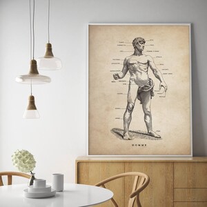 Anatomy Poster, Framed Art, Human Body, Anatomy Illustration, Anatomy ...
