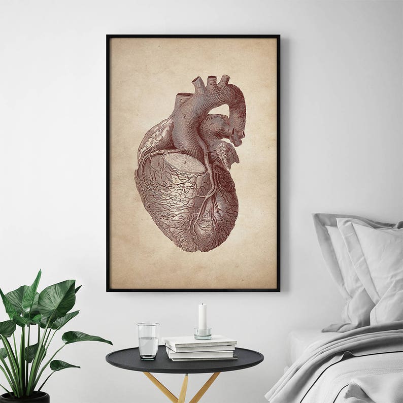 Heart Print Anatomy Print Anatomy Poster Cardiology Decor - Etsy
