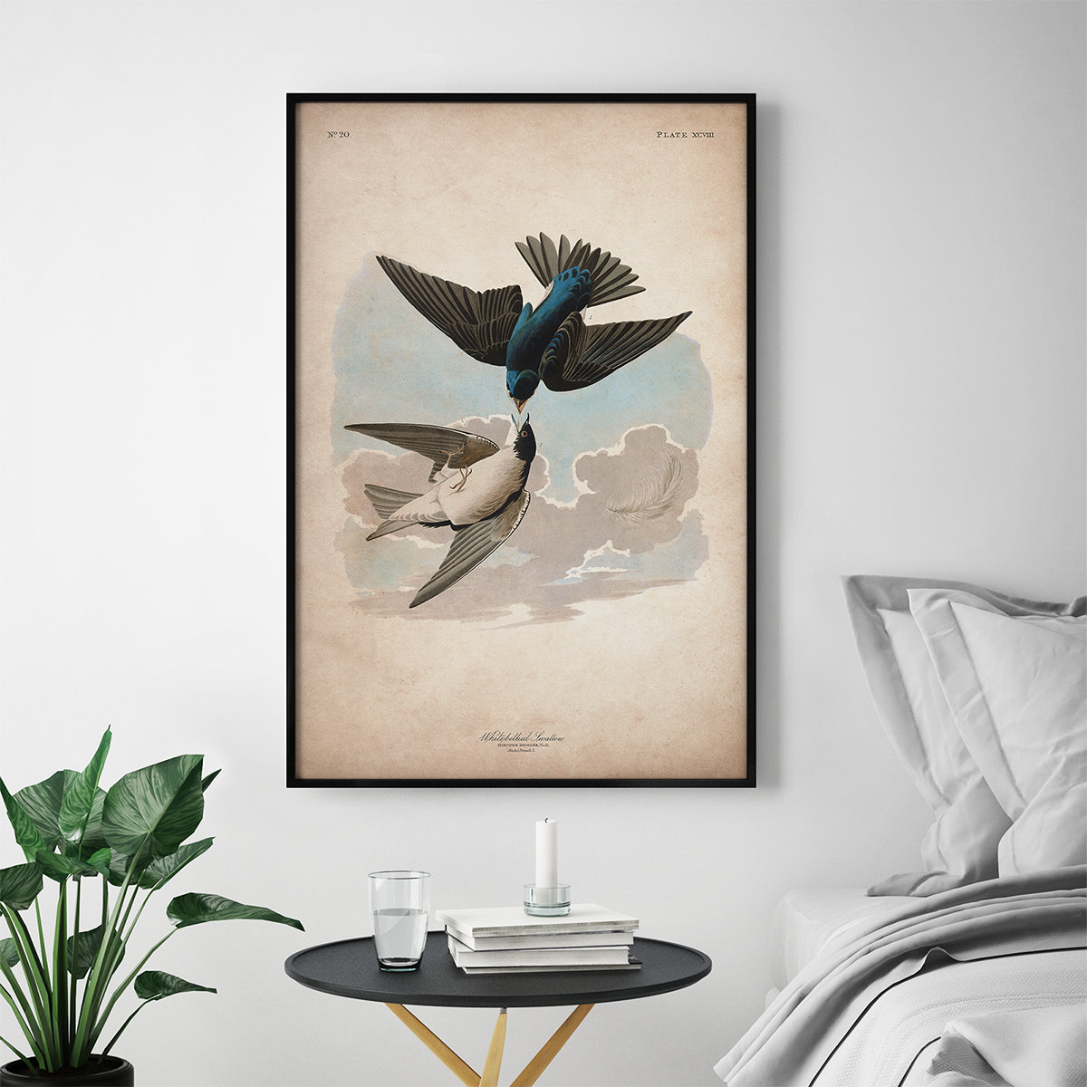 Swallow Bird Print, Framed Art, Swallow Print, Audubon Print, Audubon ...