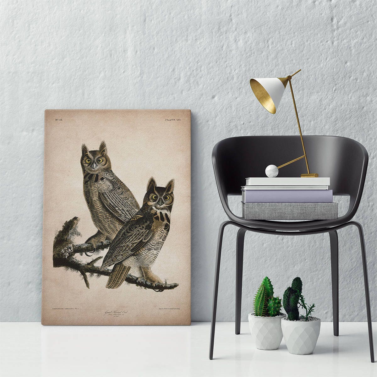 Audubon Bird Print Canvas Owl Print Birds of America John | Etsy