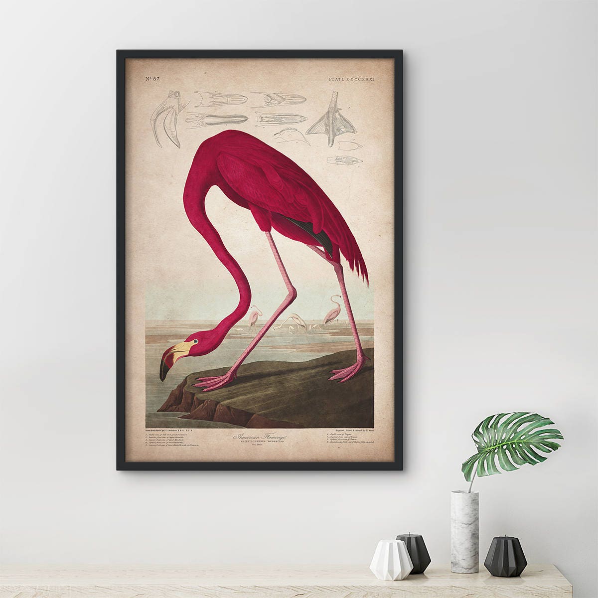 Flamingo Poster, Flamingo Print, Audubon Print, Birds of America, John ...