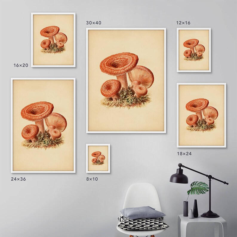 Mushroom Print Mushroom Poster Botanical Illustration - Etsy