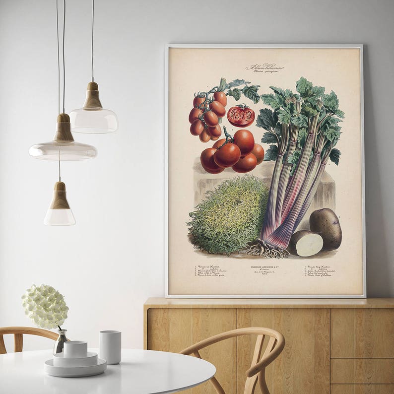 French Botanical Illustration Vegetables Poster Botanical - Etsy