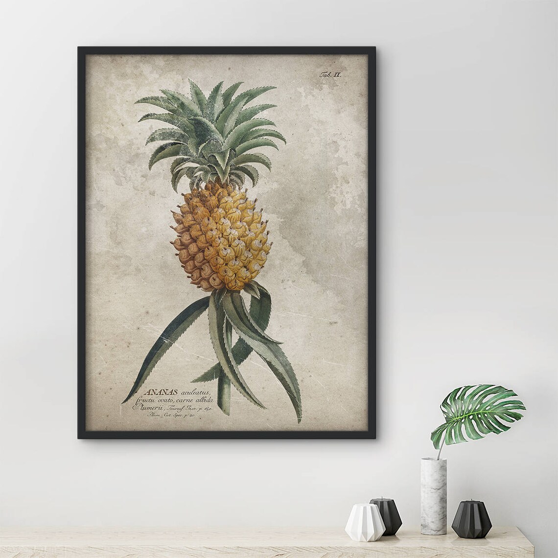 Pineapple Print, Pineapple Art, Botanical Wall Art, Vintage Botanical ...