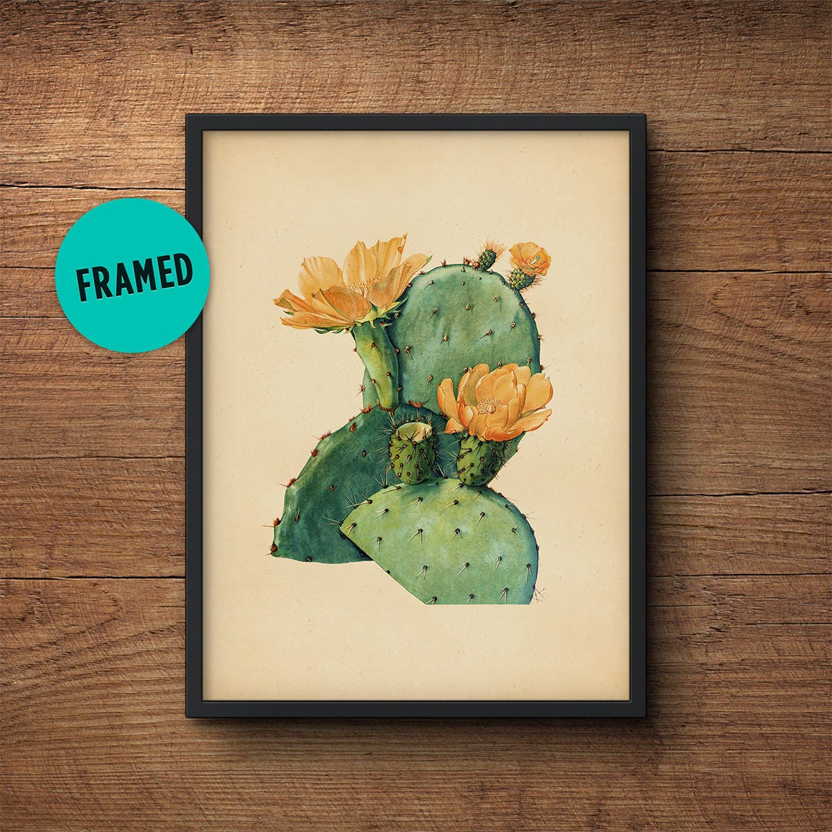 Cactus poster Framed botanical Cactus print Large cactus | Etsy