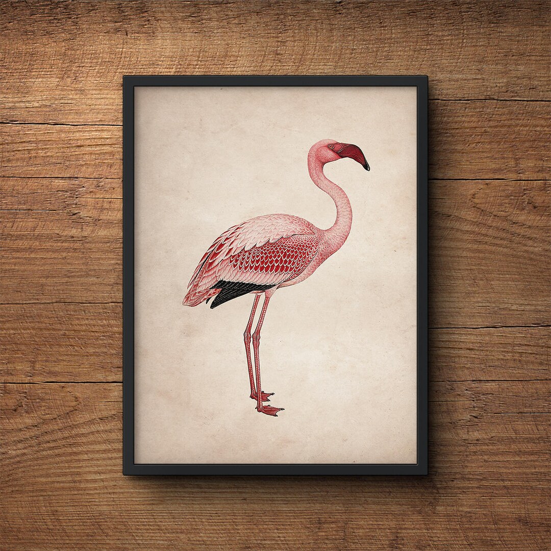 Flamingo Print Art, Flamingo Wall Print, Flamingo Poster, Pink Flamingo ...