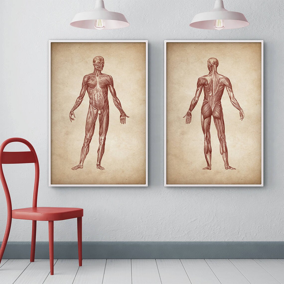 Anatomy print set of 2 Human anatomy posters Anatomy home | Etsy
