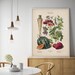 Vegetables Poster, Framed Art, Botanical Art, Vintage Vegetable Print ...