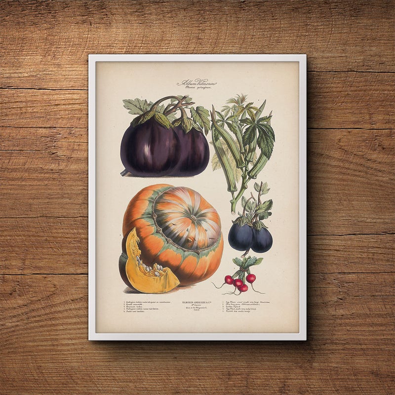 French Vegetables - Etsy