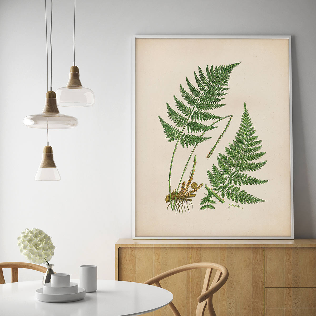 Botanical Illustration of Ferns, Fern Leaf Print, Fern Wall Print ...