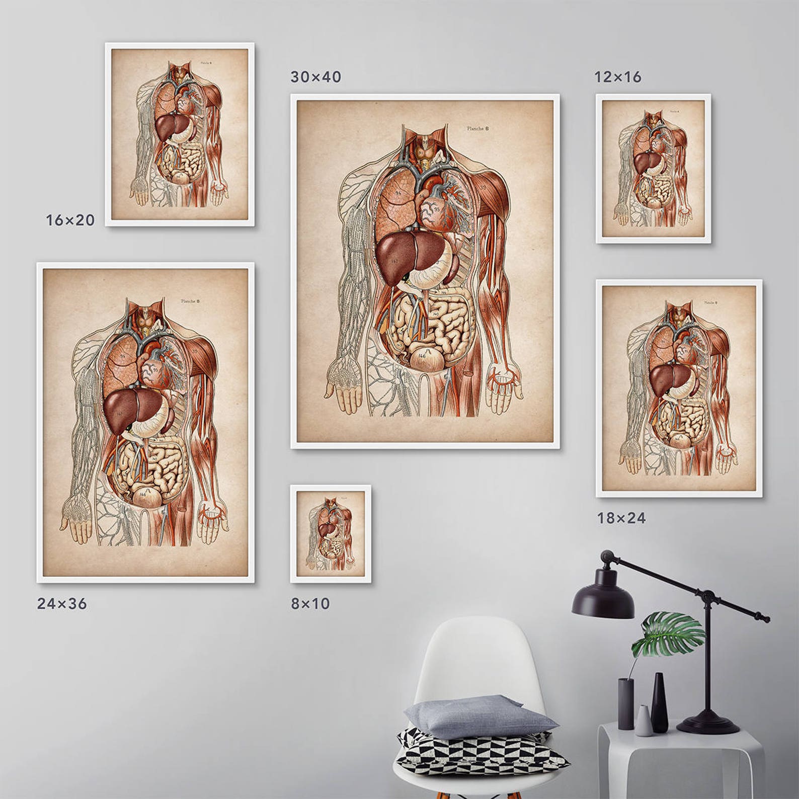 Anatomy Print Set Human Anatomy Posters Anatomy Home Decor - Etsy