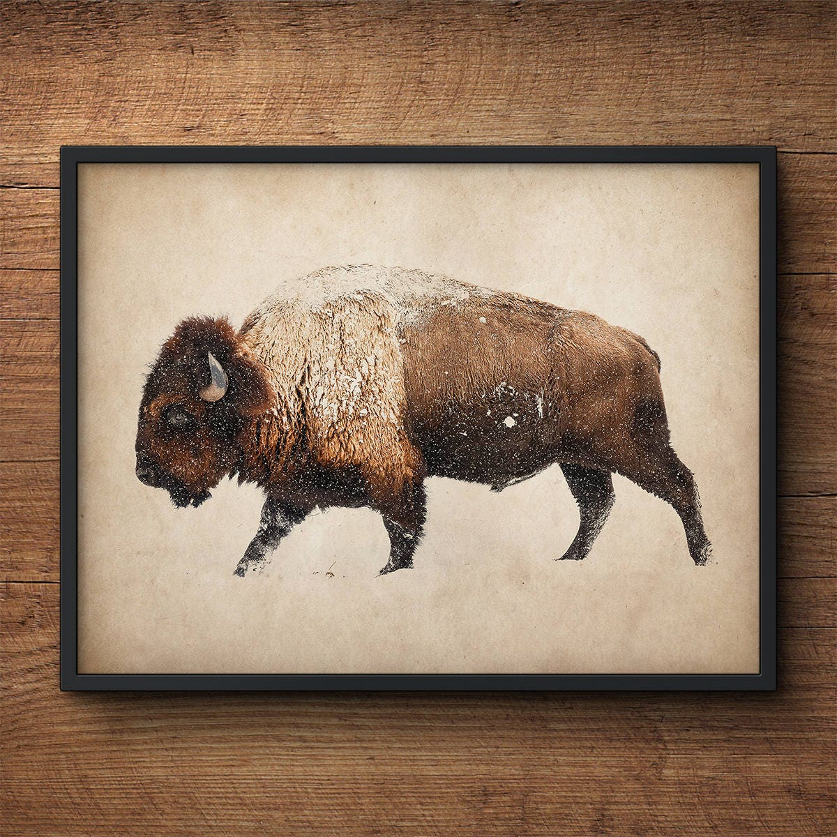 Bison Wall Art Buffalo Print Bison Photography Bison Photo - Etsy