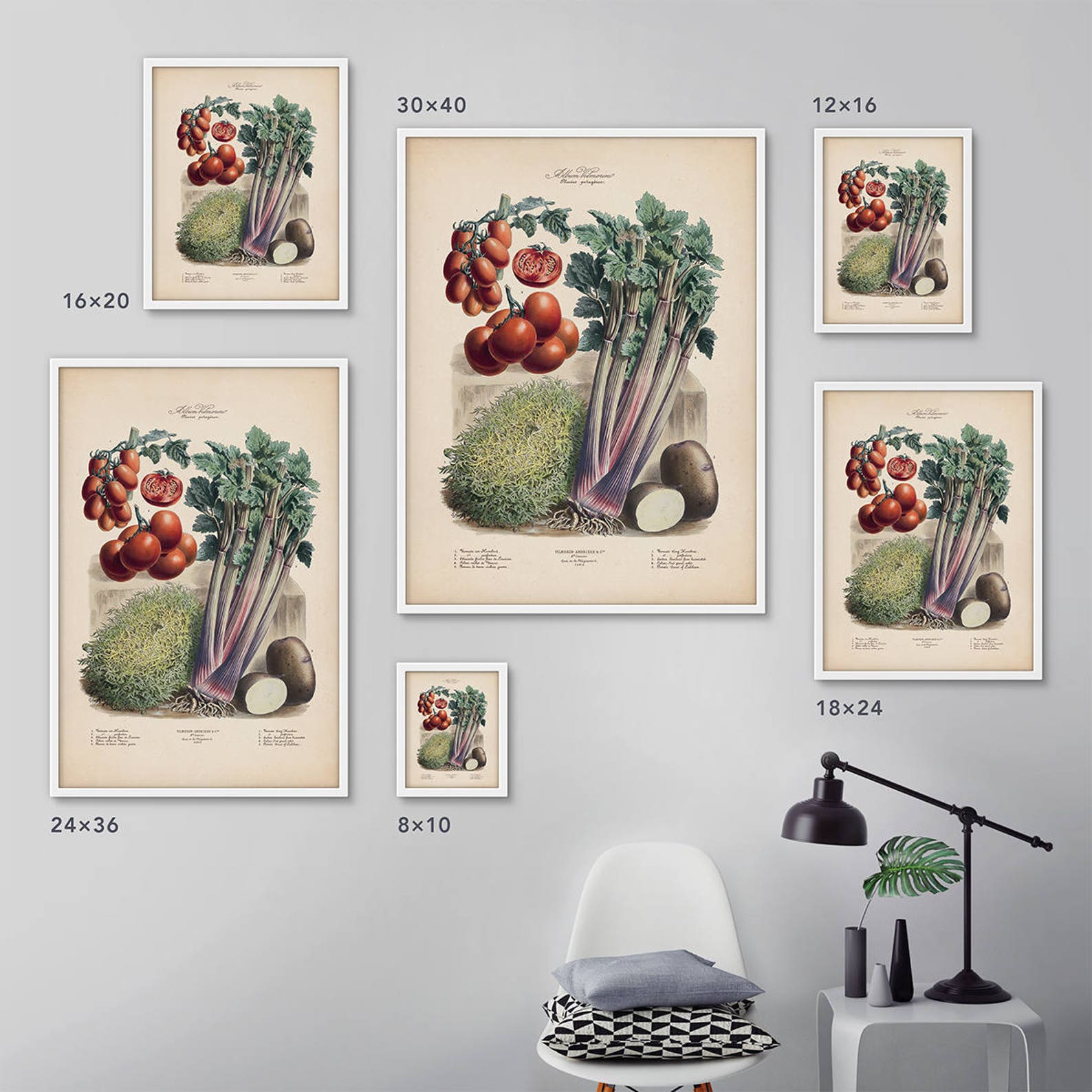 French Botanical Illustration Vegetables Poster Botanical - Etsy