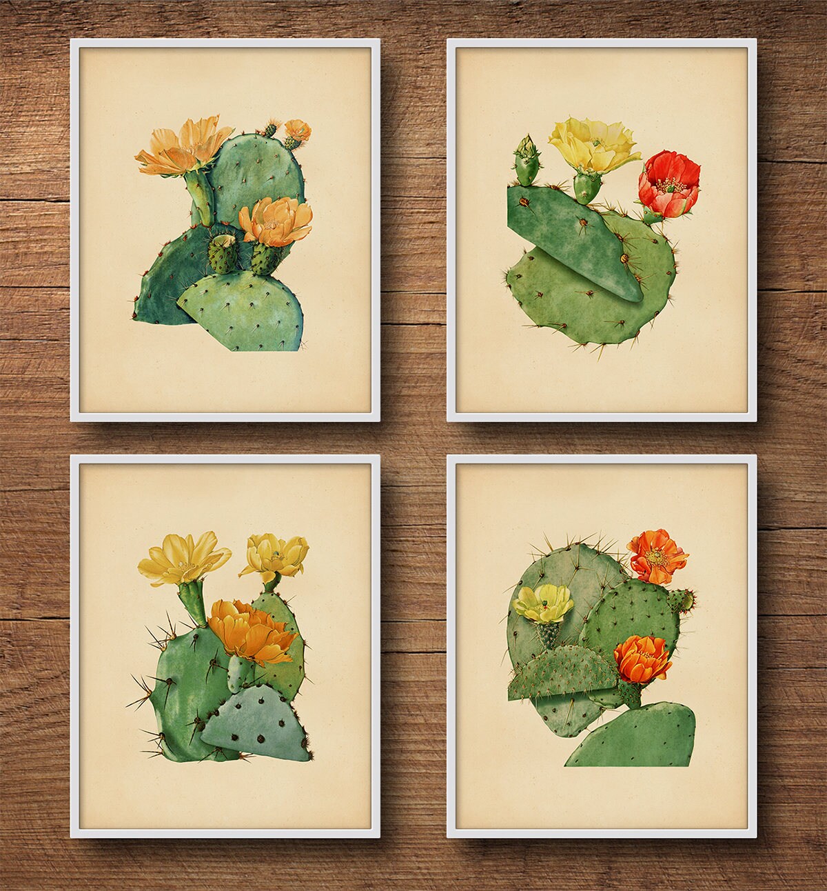 Cactus Prints, Set of 4, Botanical Print Set, Print Set, Cactus Posters ...