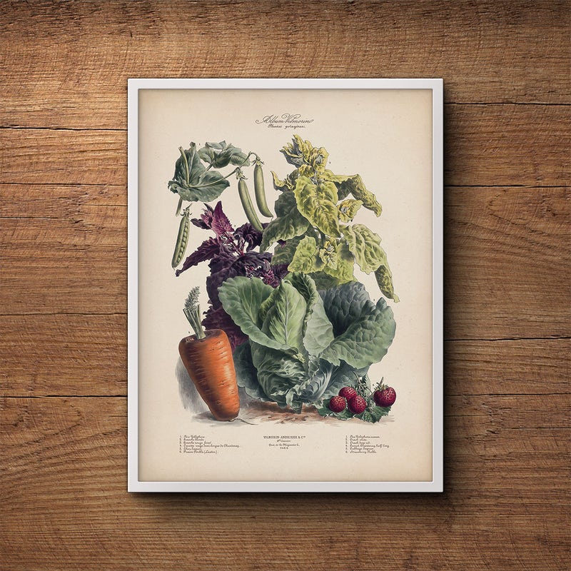 Vegetable Poster - Etsy