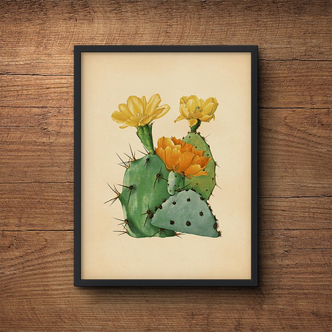 Cactus Print, Large Cactus Print, Cactus Poster, Cactus Wall Art ...