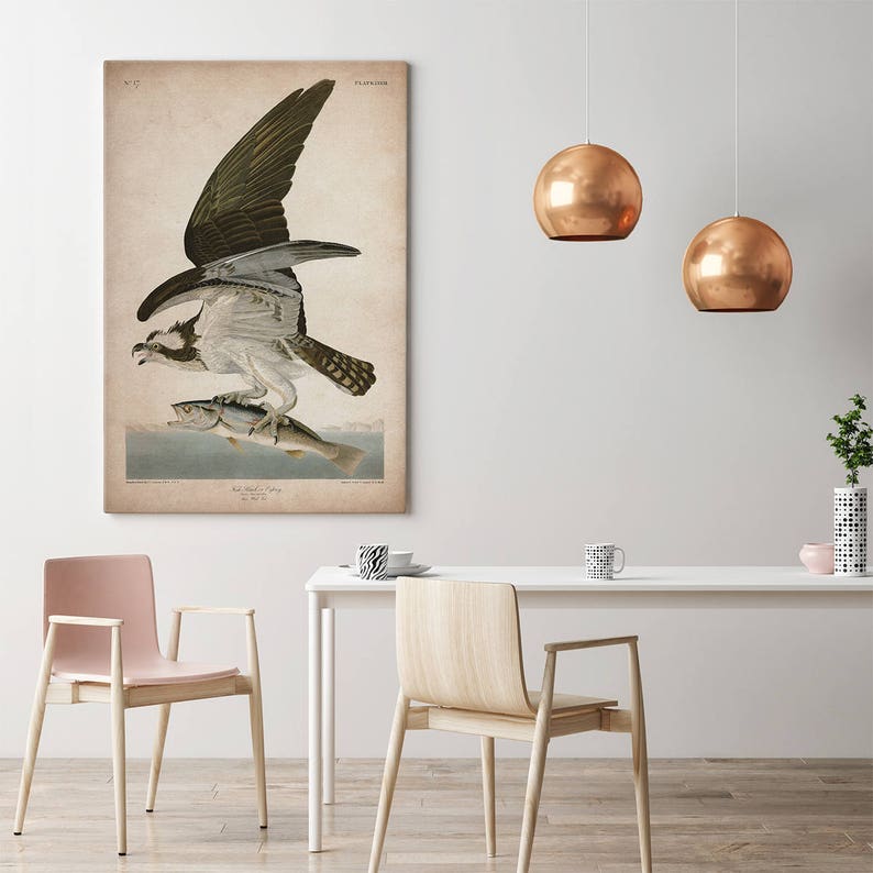 Audubon Bird Print Canvas Hawk Print Birds of America John - Etsy