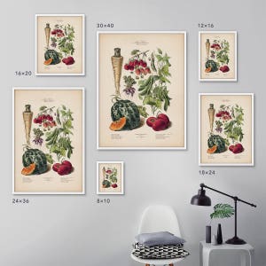 Vegetables Poster, Framed Art, Botanical Art, Vintage Vegetable Print ...