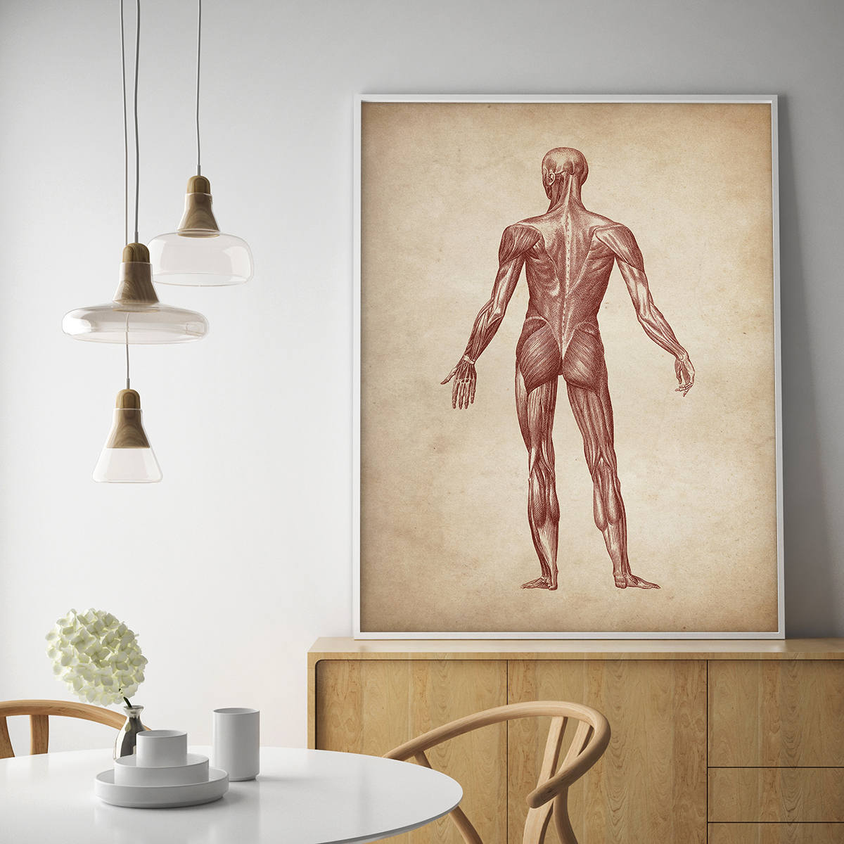 Anatomy Print Anatomy Poster Muscular System Print Human - Etsy Denmark