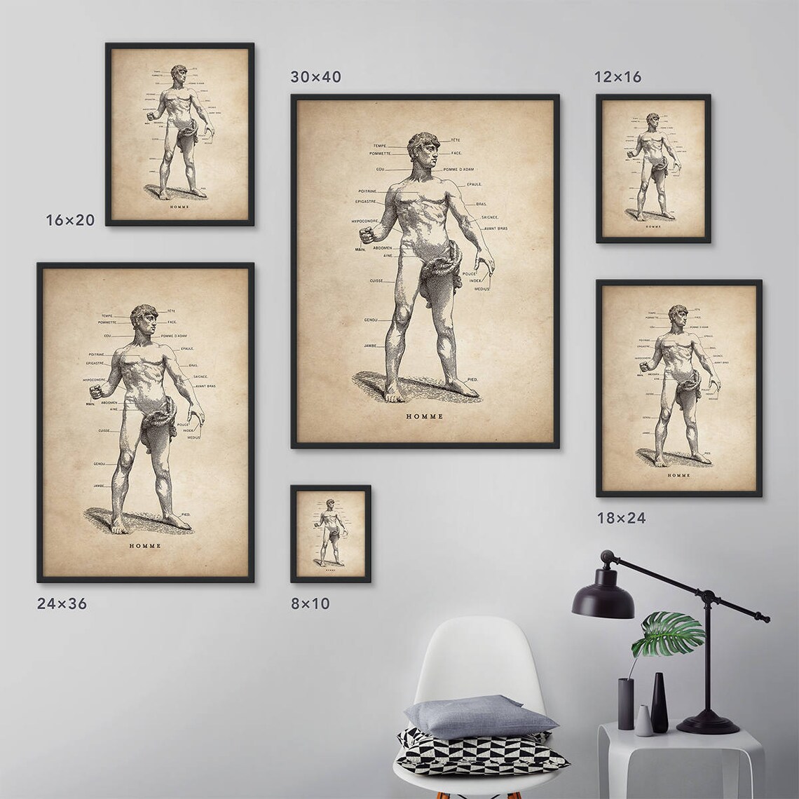 Anatomy Poster of Human Body Anatomy Illustration Anatomy - Etsy
