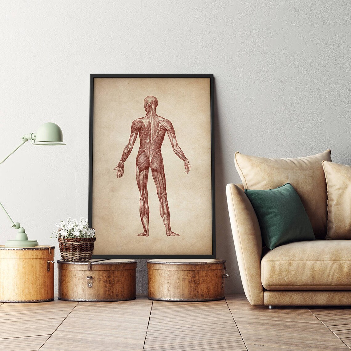Anatomy Print Framed Art Anatomy Poster Muscular System - Etsy