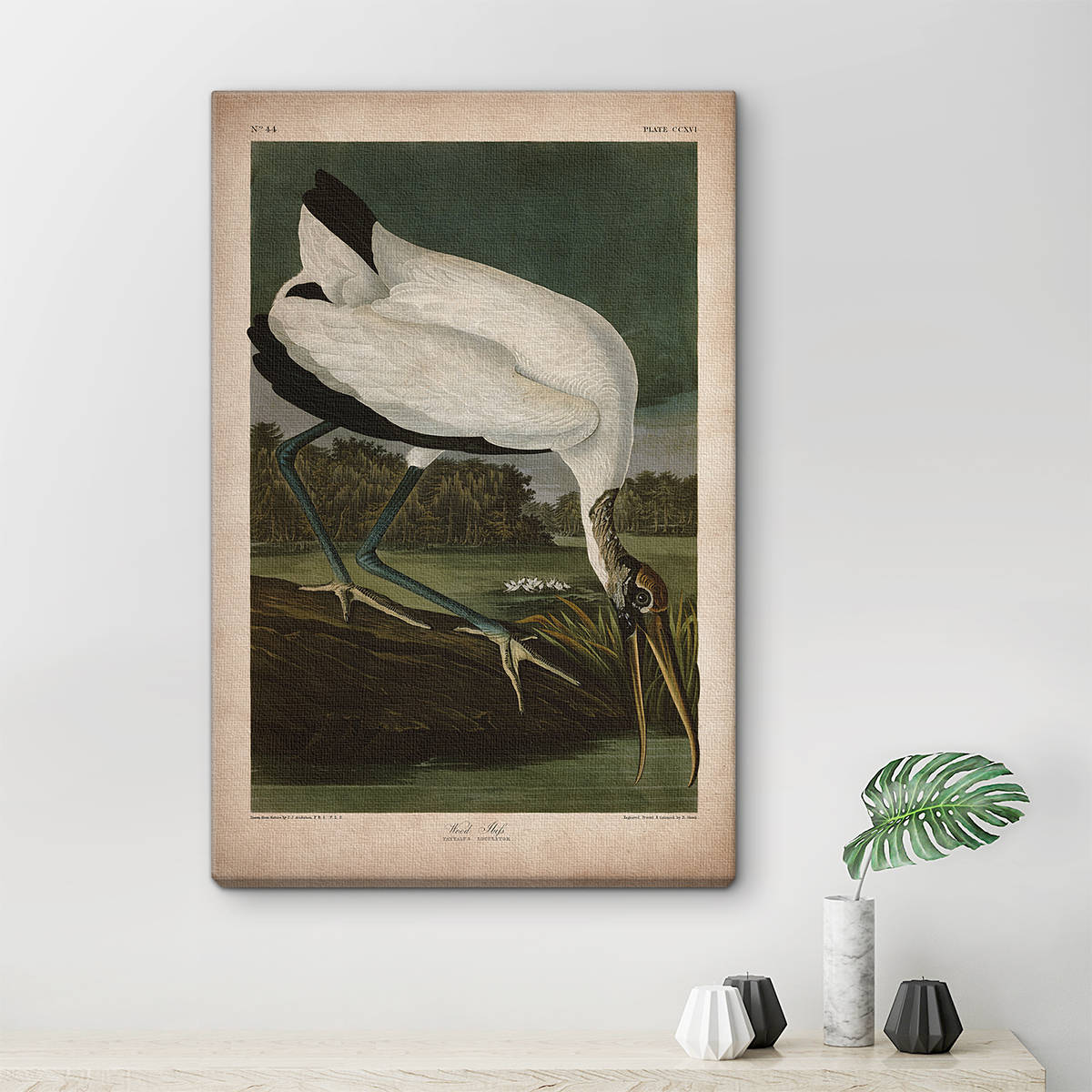 Audubon Bird Print Canvas Ibis Print Birds of America John | Etsy