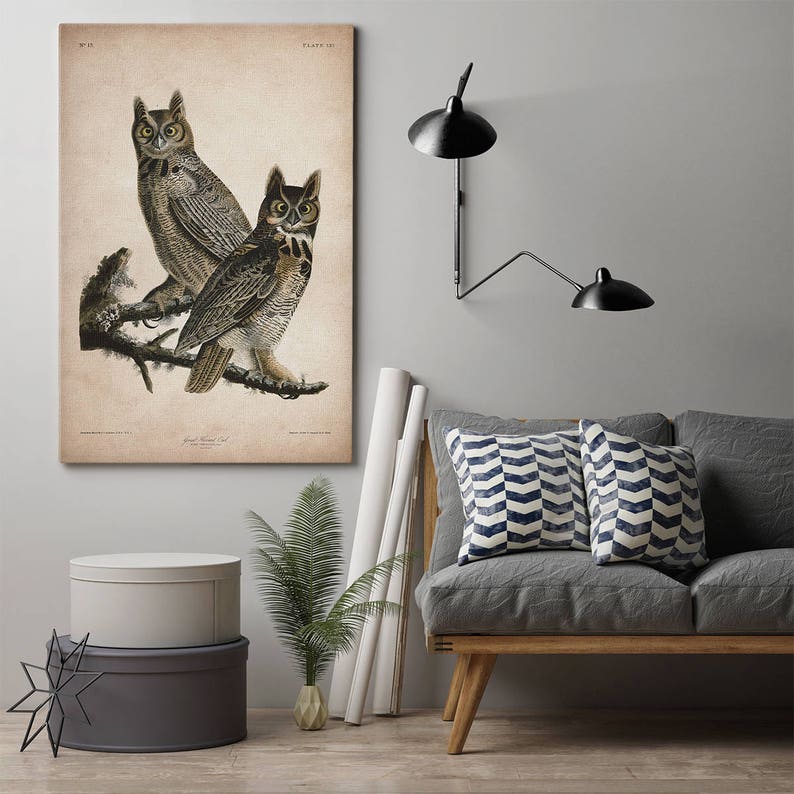 Audubon Bird Print, Canvas, Owl Print, Birds of America, John James ...