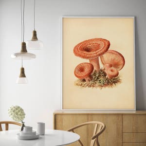 Mushroom Print, Mushroom Poster, Botanical Illustration, Botanical Art ...