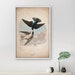 Swallow Bird Print, Framed Art, Swallow Print, Audubon Print, Audubon ...