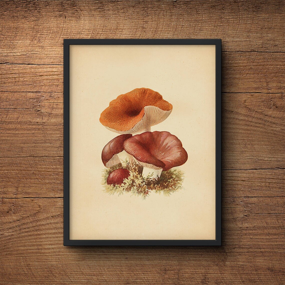 Mushroom Poster Mushroom Print Botanical Print Botanical - Etsy
