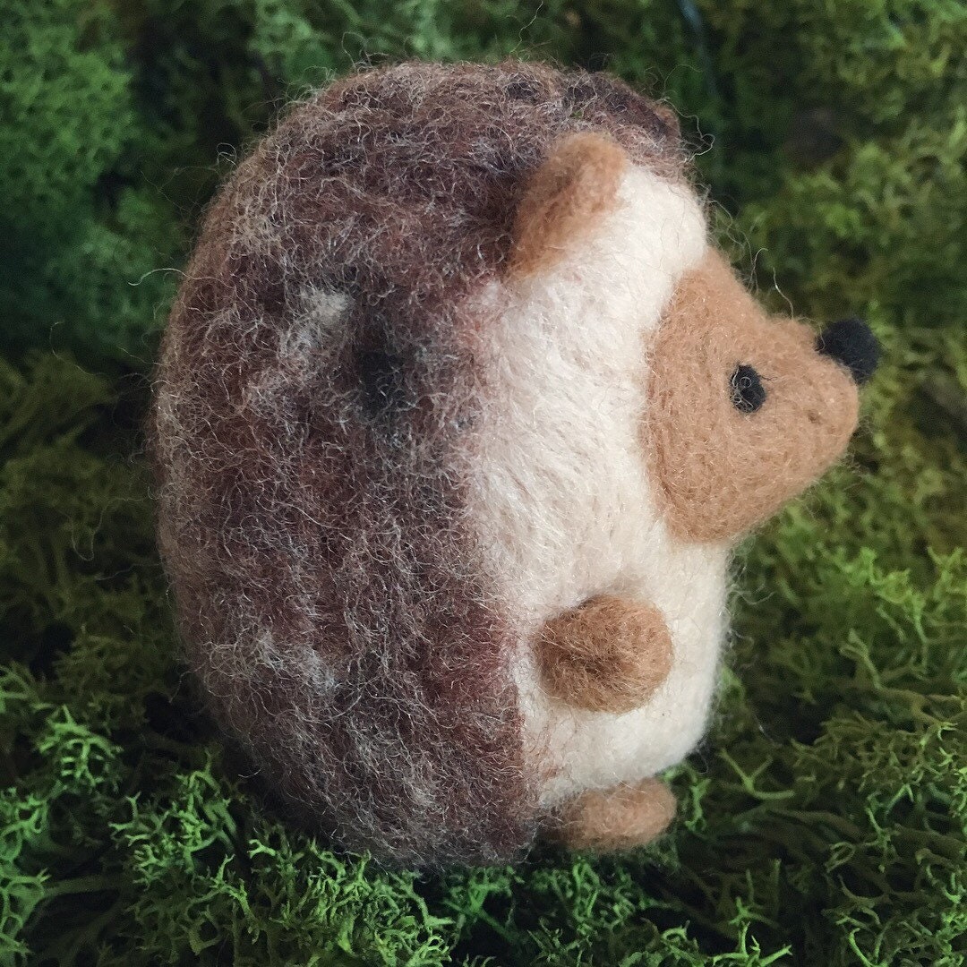 Needle Felt Hedgehog | Etsy