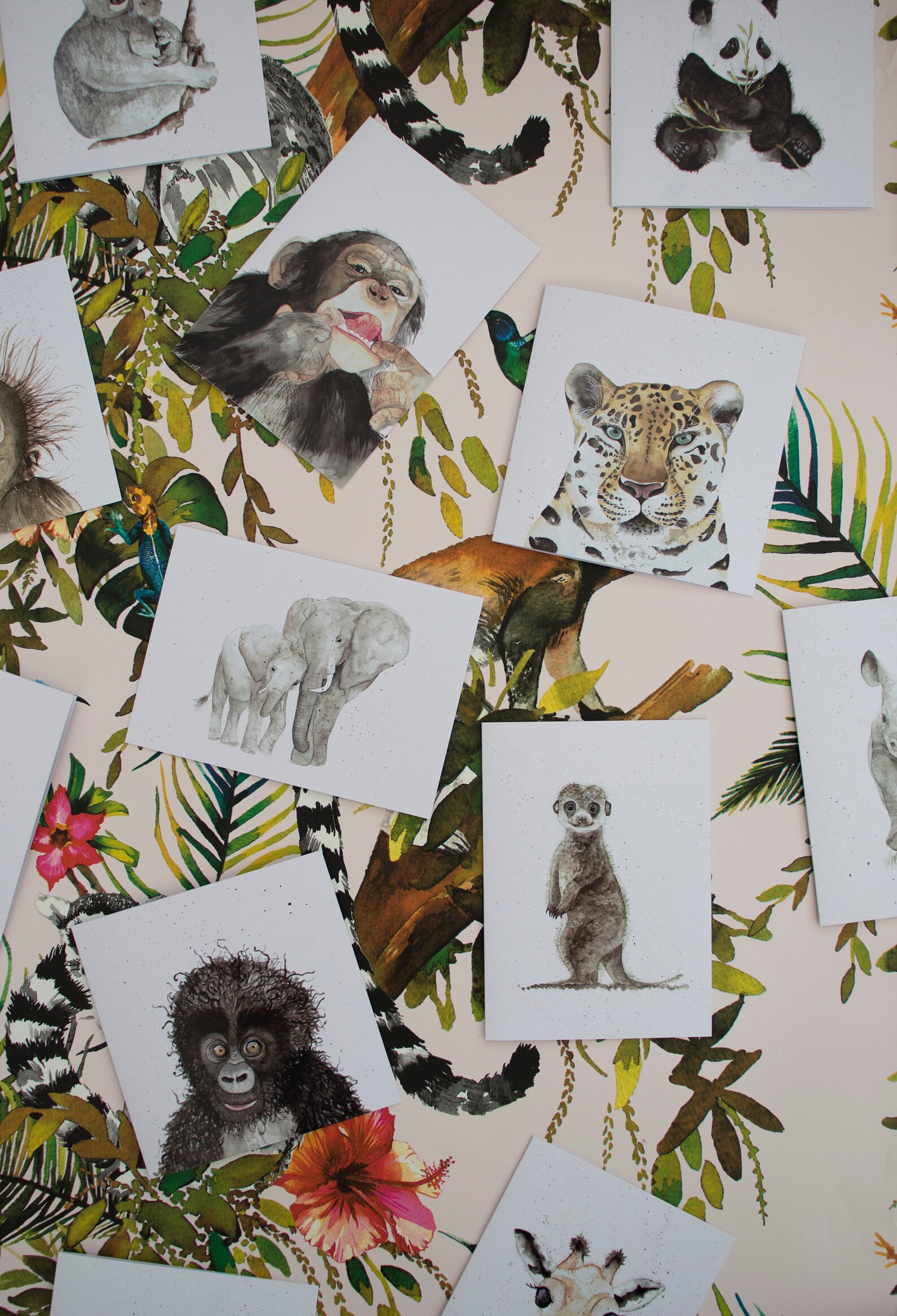 Watercolour Meerkat Card Meerkat Card Baby Meerkat Meerkat | Etsy